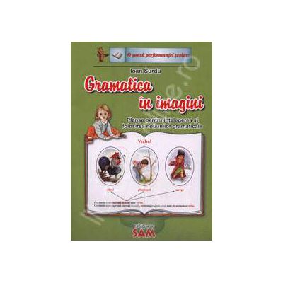 Gramatica in imagini (Planse pentru intelegerea si folosirea notiunilor ...