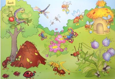 Planse - Flora, Fauna, Ecologie... (cele 4 anotimpuri, animale si ...